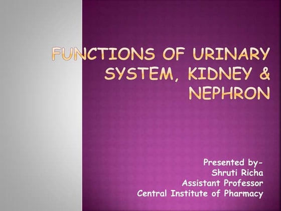 Physiology of Urine Formation | PPTX