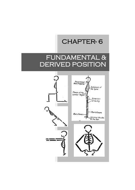 Lever system - Exercise therapy | PDF