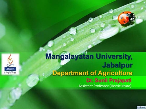 Insect wing venation and Its modification Dr.Sunil Prajapati | PPTX