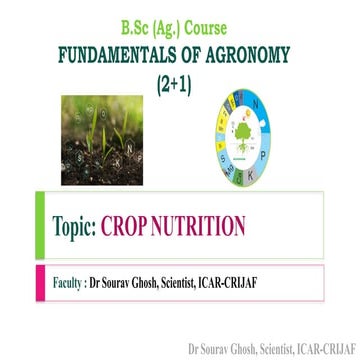 Fundamentals of Agronomy- Crop nutrition Part 1.pptx | Agriculture ...