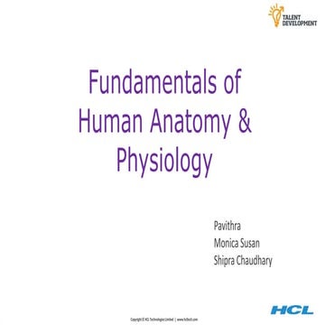 Fundamentals of Human Anatomy & Physiology.pptx | Death, Injury, or ...