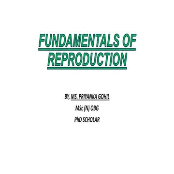 Prolonged labour | PPT