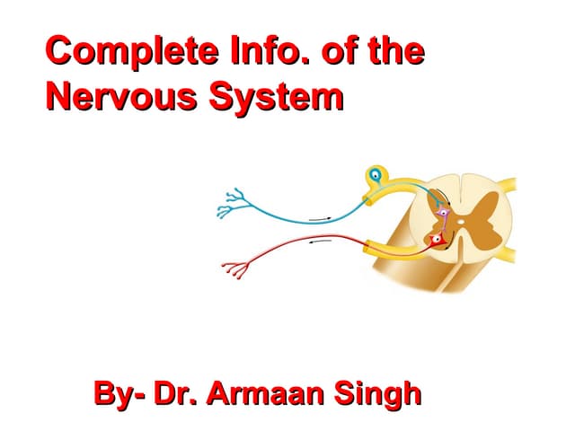 The Nervous System Grade 6, parts and functions | PPT