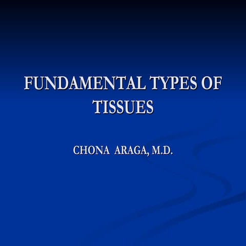 Fundamental types of tissues | PPT