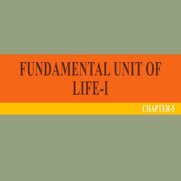 Fundamental Unit of Life-Cell-I | PPT