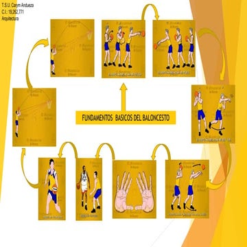 Fundamentos Basicos del Baloncesto