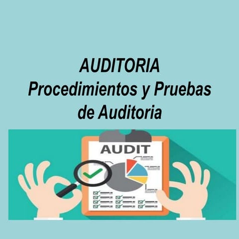 PRUEBAS DE AUDITORIA | PPTX