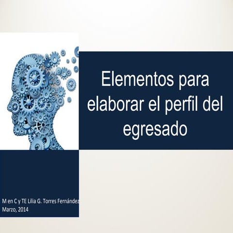Elementos para elaborar el perfil de egresado | PPS