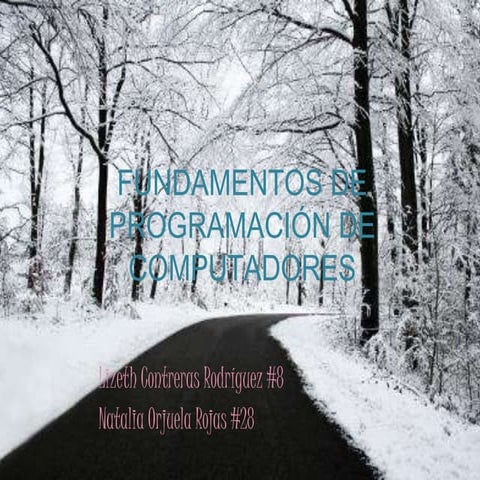 Fundamentos de programación de computadores | PPTX | Programming Languages | Computing