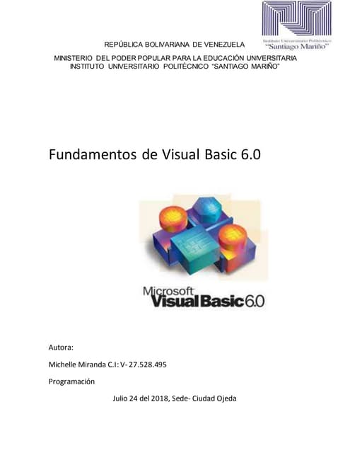 Visual Basic | PPT