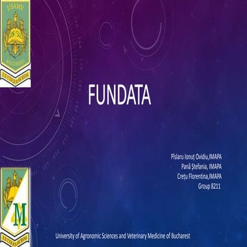 Fundata | PPT
