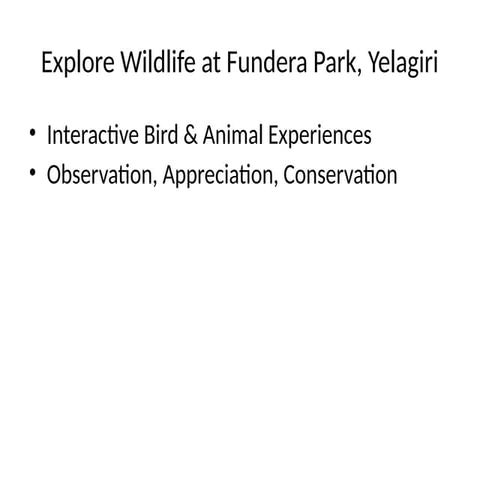 Immersive Wildlife Experience at Fundera Park | PPTX