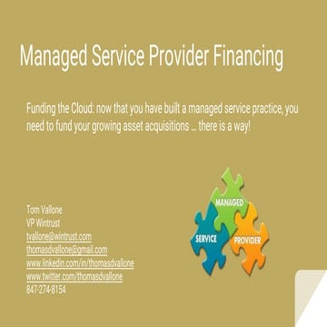 Managed Service Provider Financing | PDF