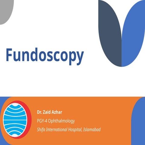 Normal fundus | PPT