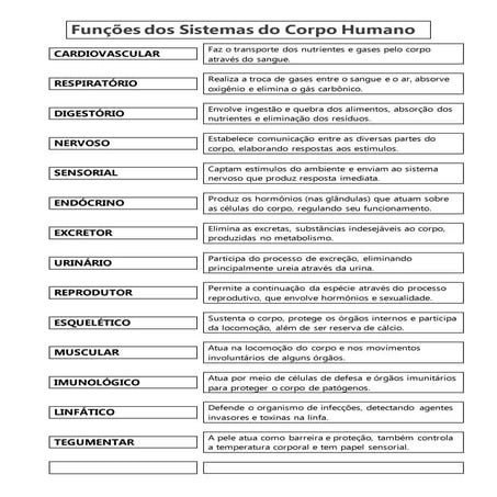 Funções dos sistemas do corpo humano | DOCX