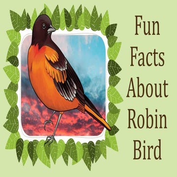 Fun facts about robin bird | PPTX