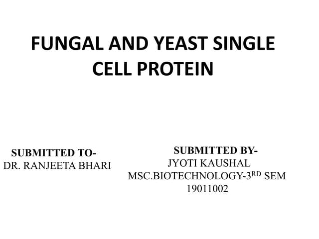 Single cell protein | PPTX | Chemistry | Science