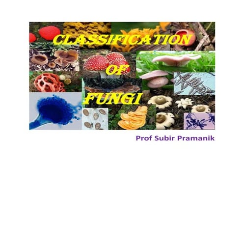 Fungal classification | DOCX