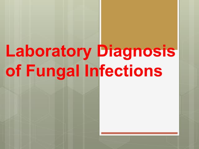 Laboratory diagnosis of fungal infections | PPT
