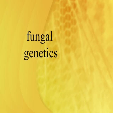 fungal genetics2.pdf