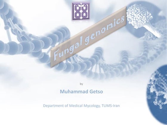 Viral Vector for Gene Therapy | PPT