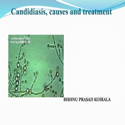 Candidiasis, causes and their treatment | PPTX