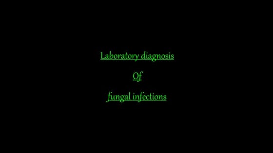 Laboratory diagnosis of fungal infections | PPT