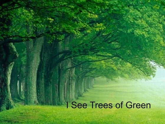 Ocular infections | PPT