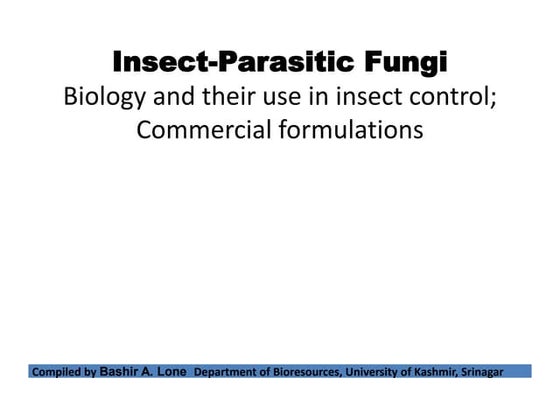 Tissue Engineering of the Skin.ppt