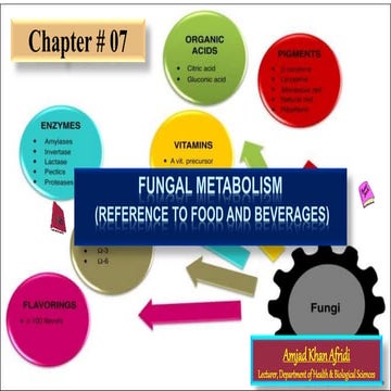 Fungal Metabolism.pptx