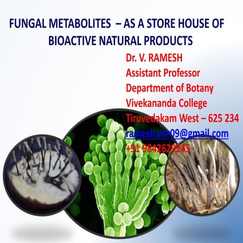 Fungal metabolites as a store house of bioactive natural products | PPTX