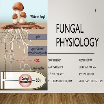 Fungal primary and secondary metabolism.pdf