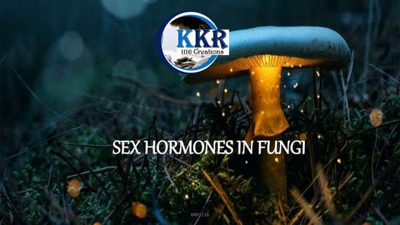 Sex Hormones In Fungi Pptx 8400