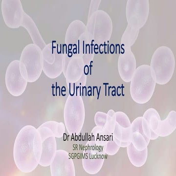Fungal Infections of the Urinary Tract | PPT