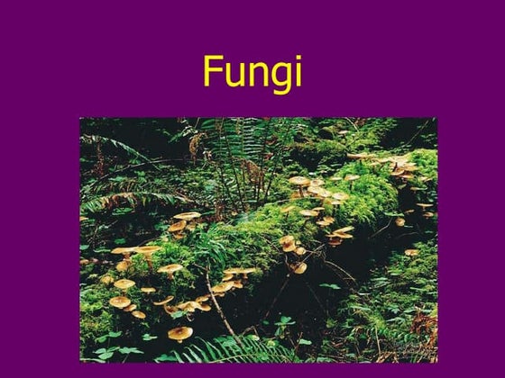 cell Structure of fungi unicellular and multicellular | PPTX