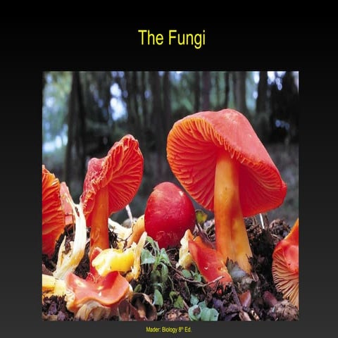 Fungi | PPT