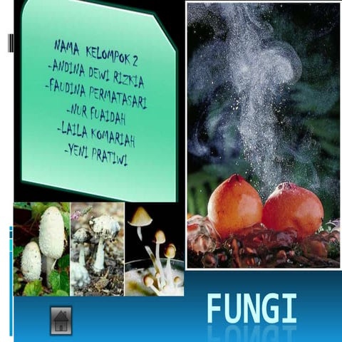 fungi ppt | PPTX