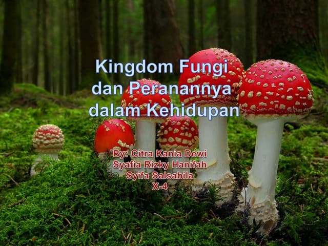 Presentasi Jamur (fungi) | PPTX
