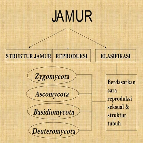 materi fungi untuk kelas 10 sma semester 1 | PPTX