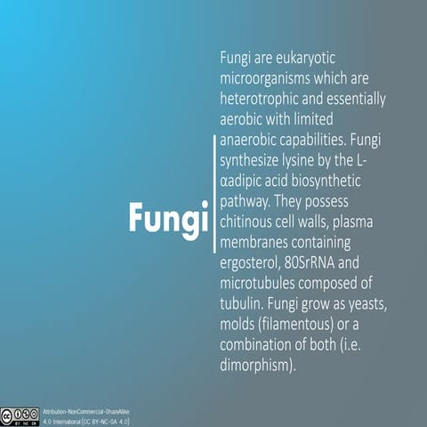 Fungi: Yeast, Filamentous and Dimorphic | PDF
