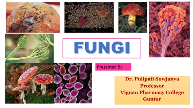 Reproduction in fungi | PPTX