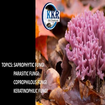 Saprophytic nutirtion | PPTX