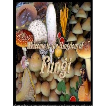 Classification of fungi | PPTX