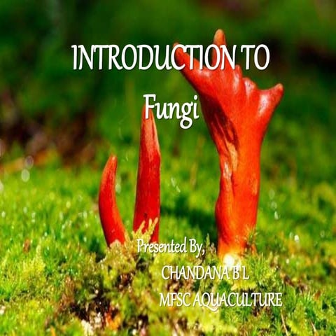 Introduction to fungus of all kinds.pptx | Biological Sciences | Science