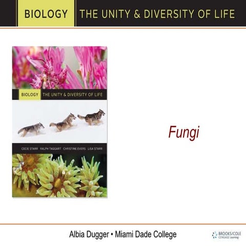power point presentation guide fungi.pptx