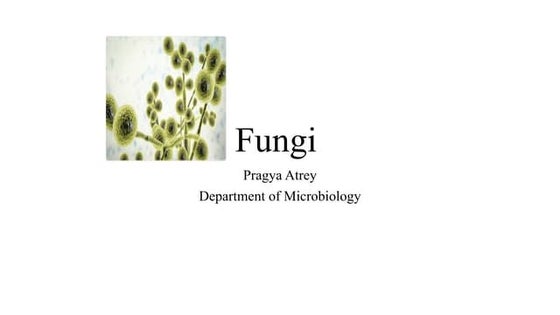Morphology of Fungi | PPTX | Gardening | Home & Garden