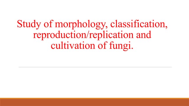 10- Fungi and Their Pathogenesis. ppt | PPT