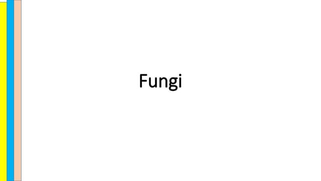 Sexual Reproduction In Fungi Pptx