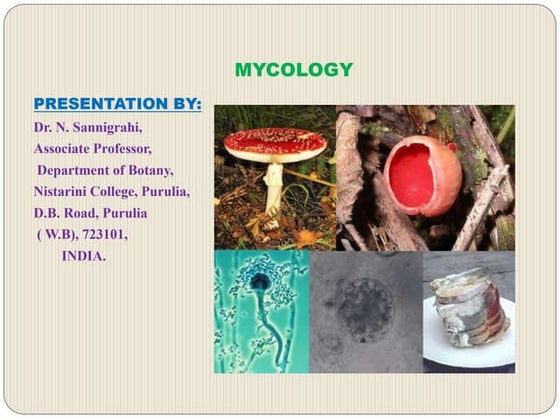 Sex Hormones In Fungi Pptx 3508