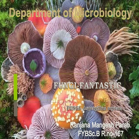 FUNGI-FANTASTIC.pptx